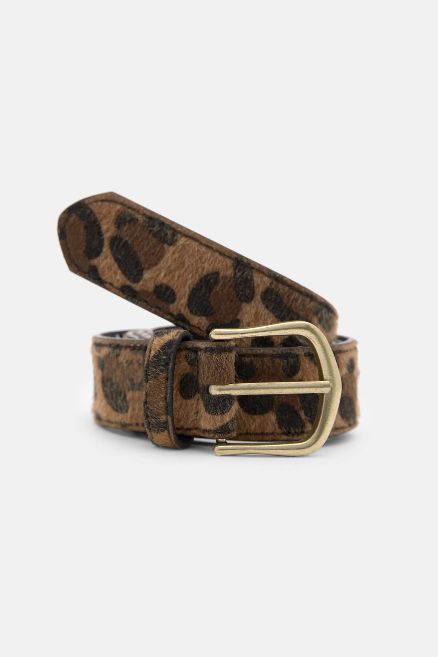 Leopard belt - PULL&BEAR