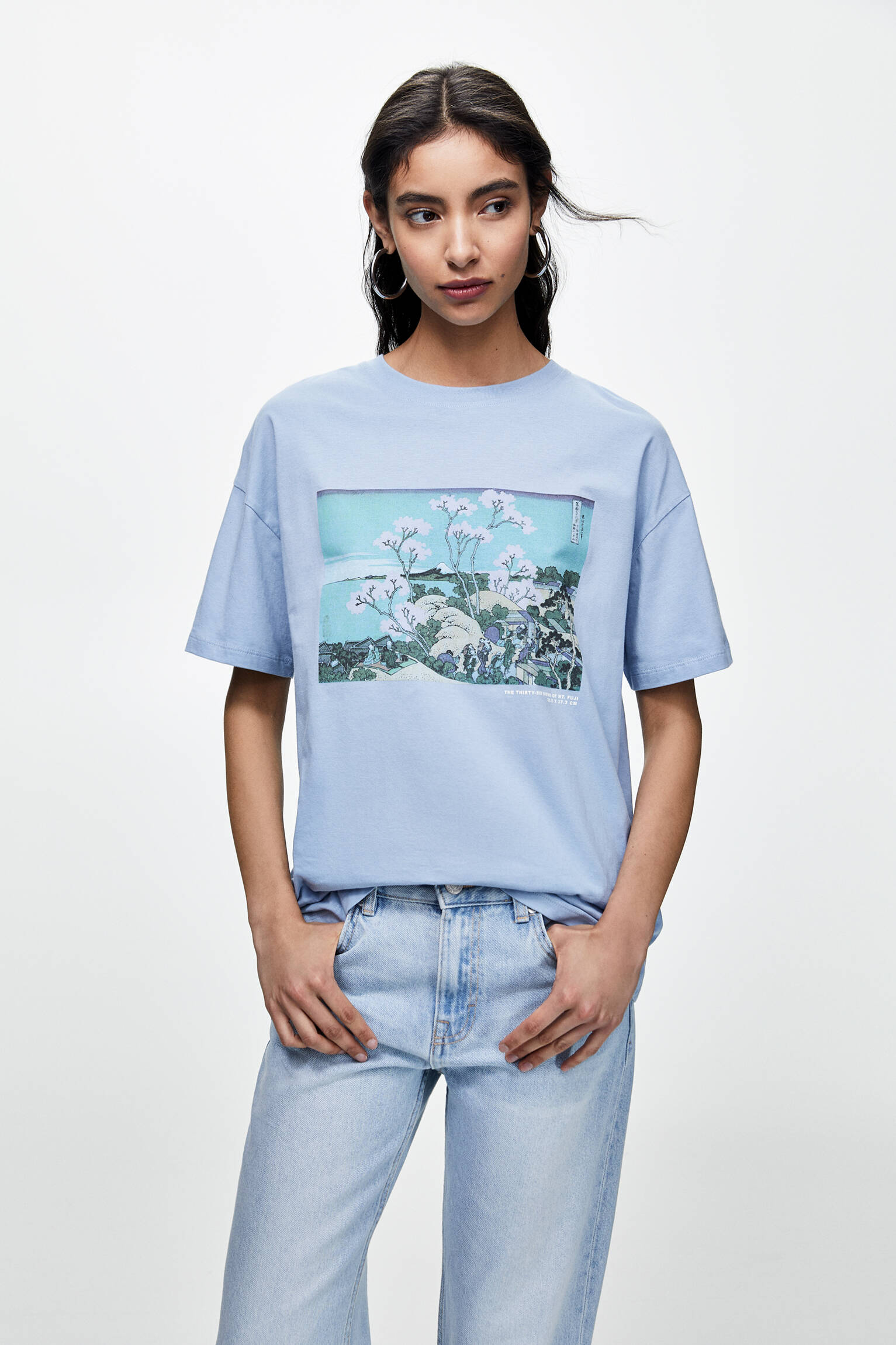 Short sleeve Mount Fuji T-shirt - PULL&BEAR