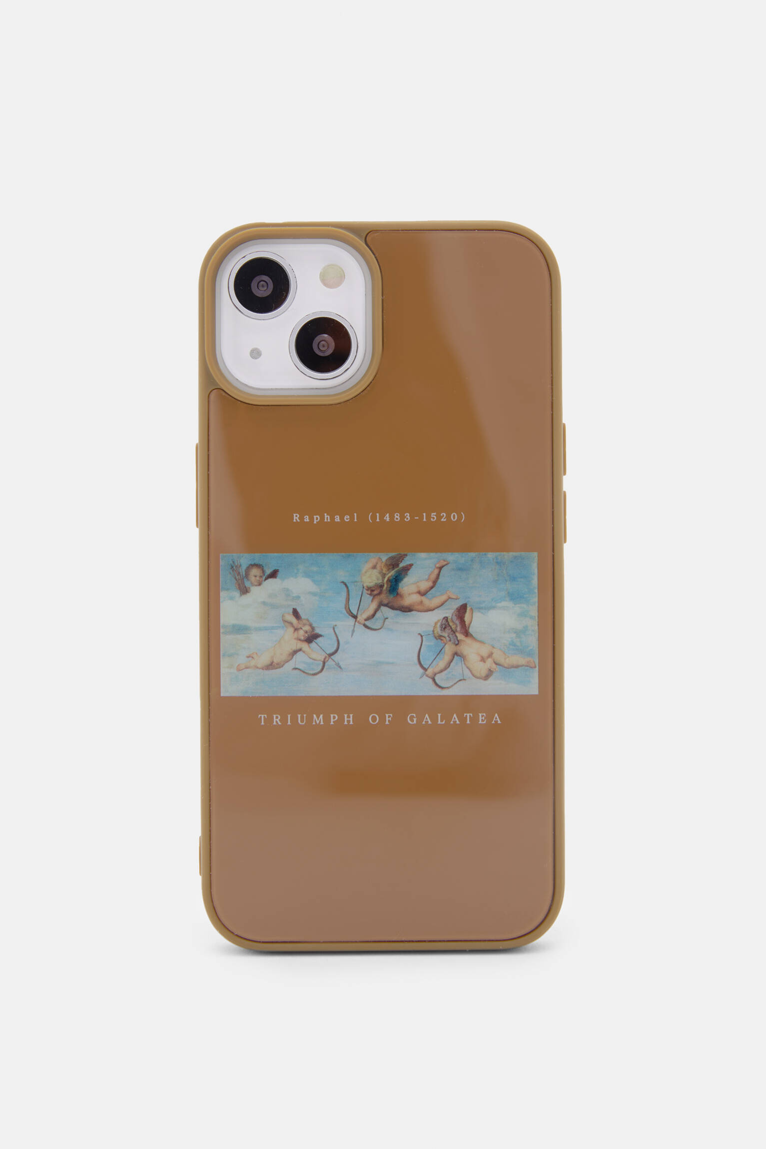 Triumph of Galatea iPhone case - PULL&BEAR